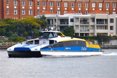 Brisbane CityCats - Norman R. Wrights & Sons